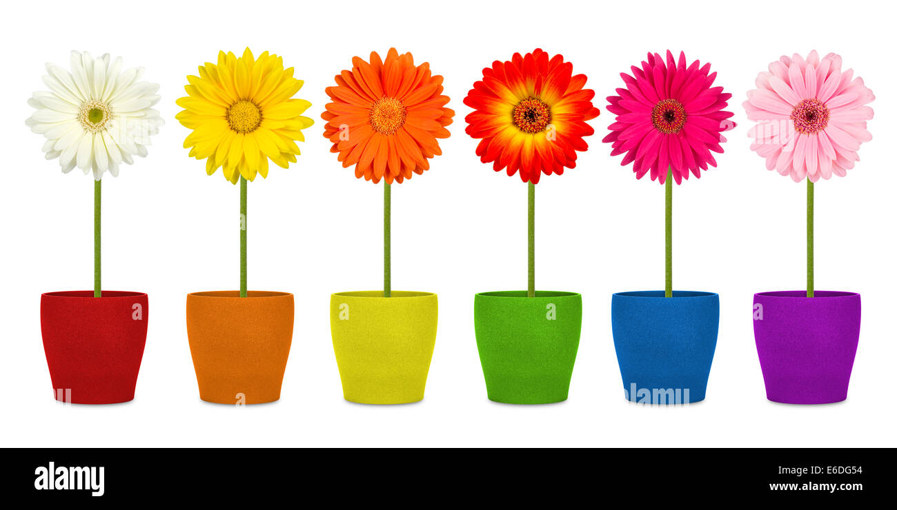 Colorful pots Cut Out Stock Images & Pictures - Alamy