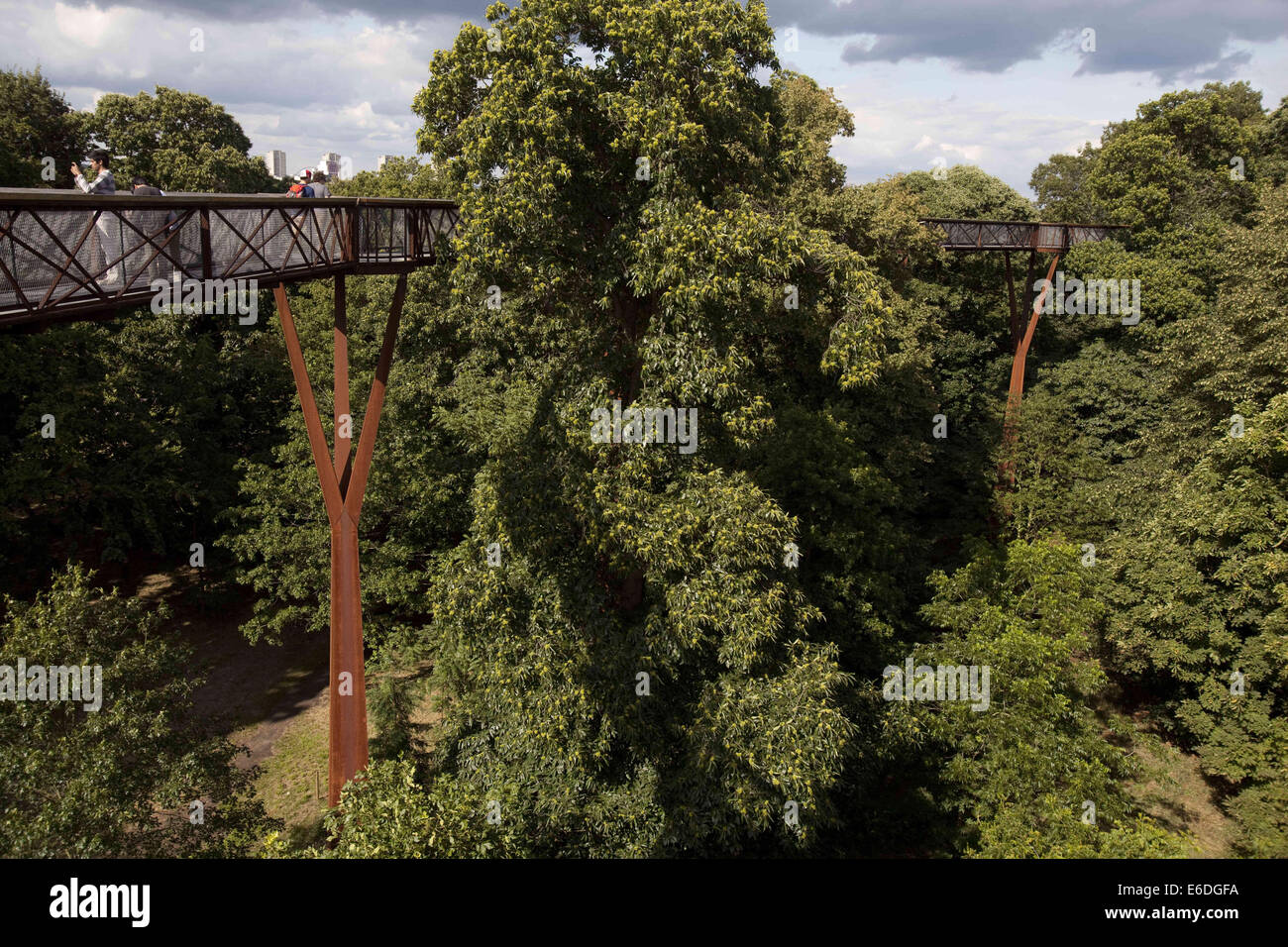 London, UK. 13th Aug, 2014. Kew Gardens - Treetop Walkway.Treetop ...