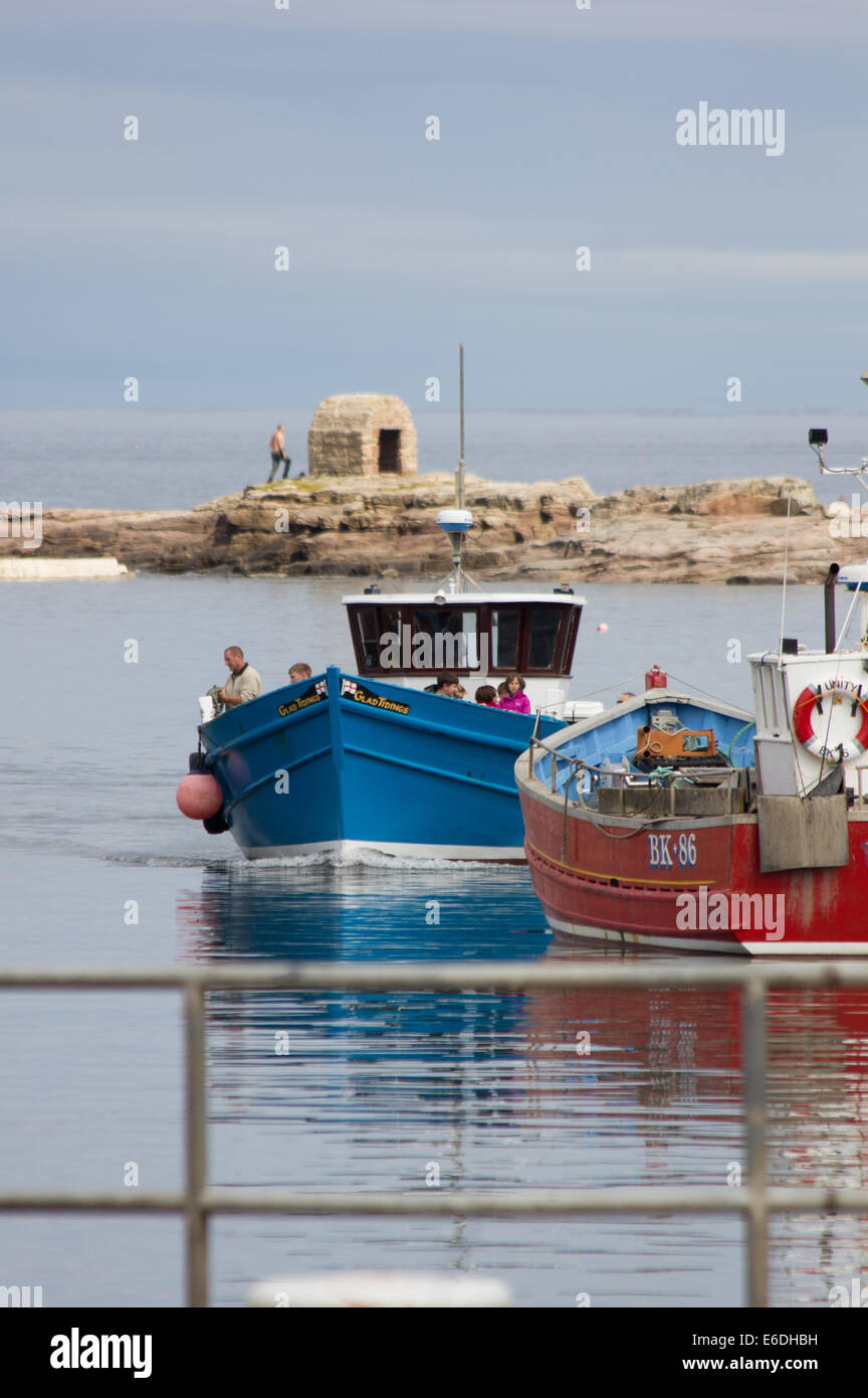 Billy shiel hi-res stock photography and images - Alamy