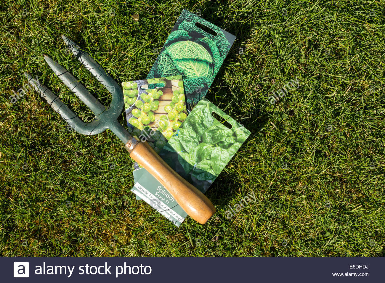 Sowing Seeds Stock Photos & Sowing Seeds Stock Images - Alamy