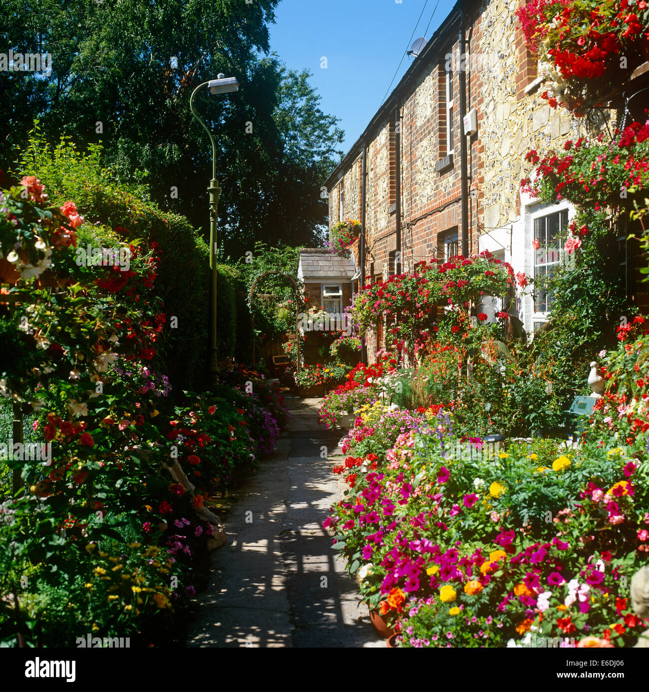 Basingstoke hampshire england hi-res stock photography and images - Alamy