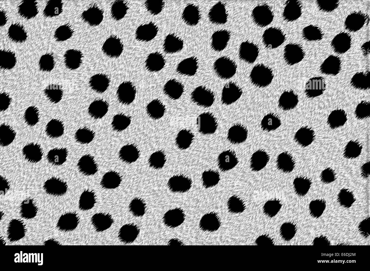 Beautiful animal skin background texture abstract for design Stock ...