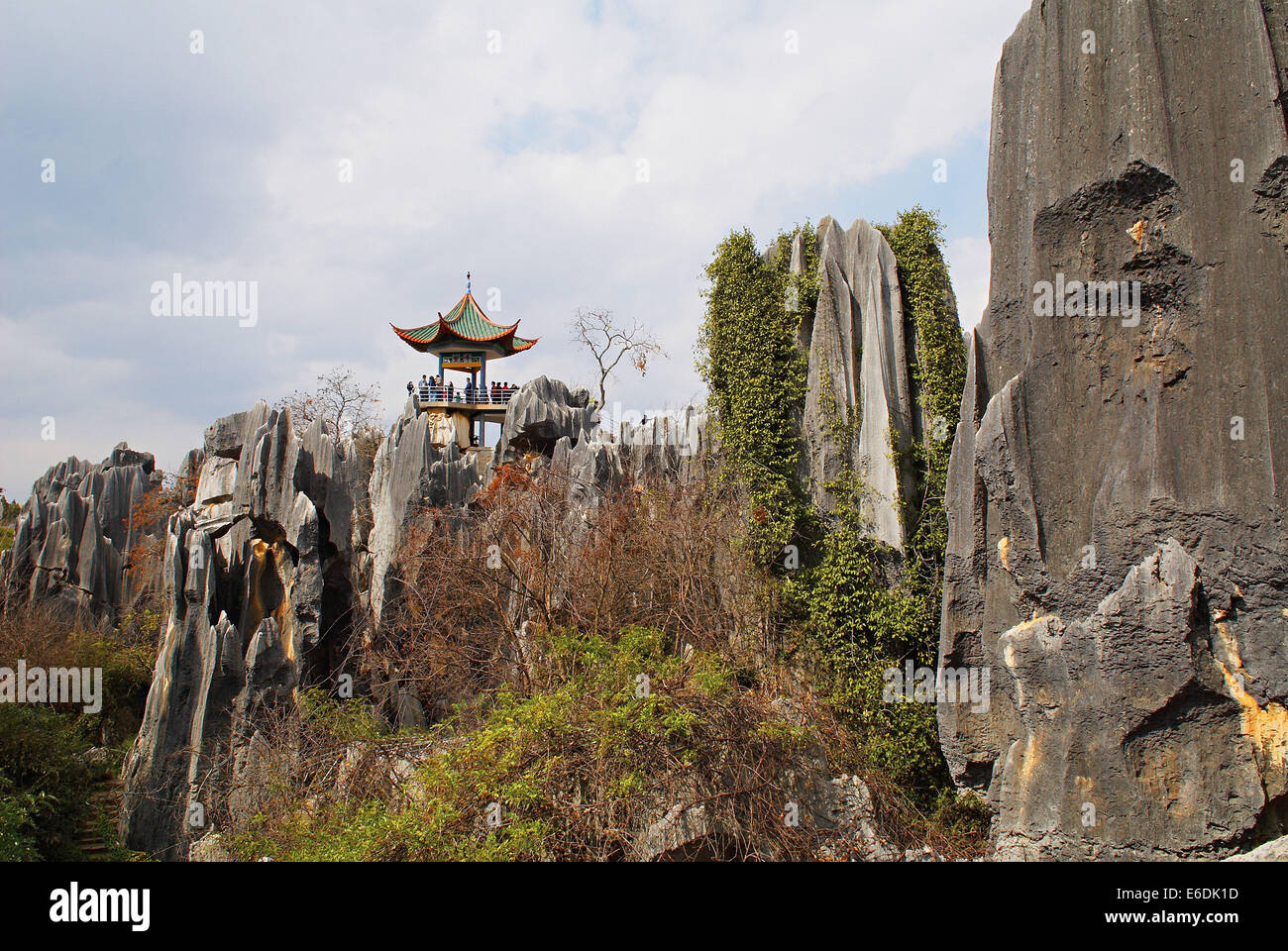 Limestone pinnacles in Shilin, Stone Forest, at Lunan, Yunnan, China ...
