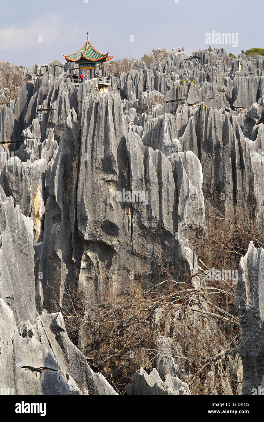 Limestone pinnacles in Shilin, Stone Forest, at Lunan, Yunnan, China ...
