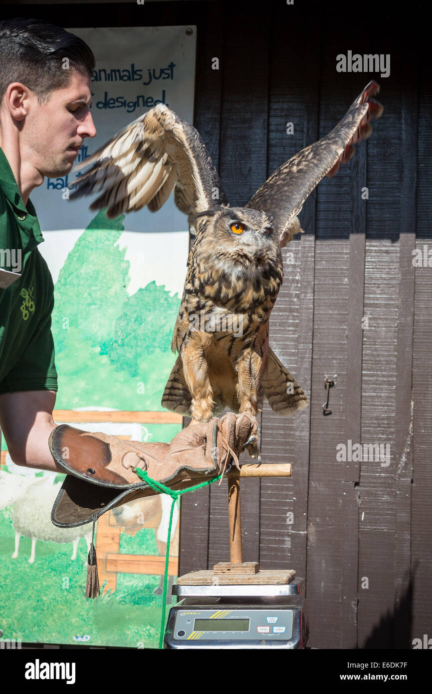 London zoo animals hi-res stock photography and images - Alamy