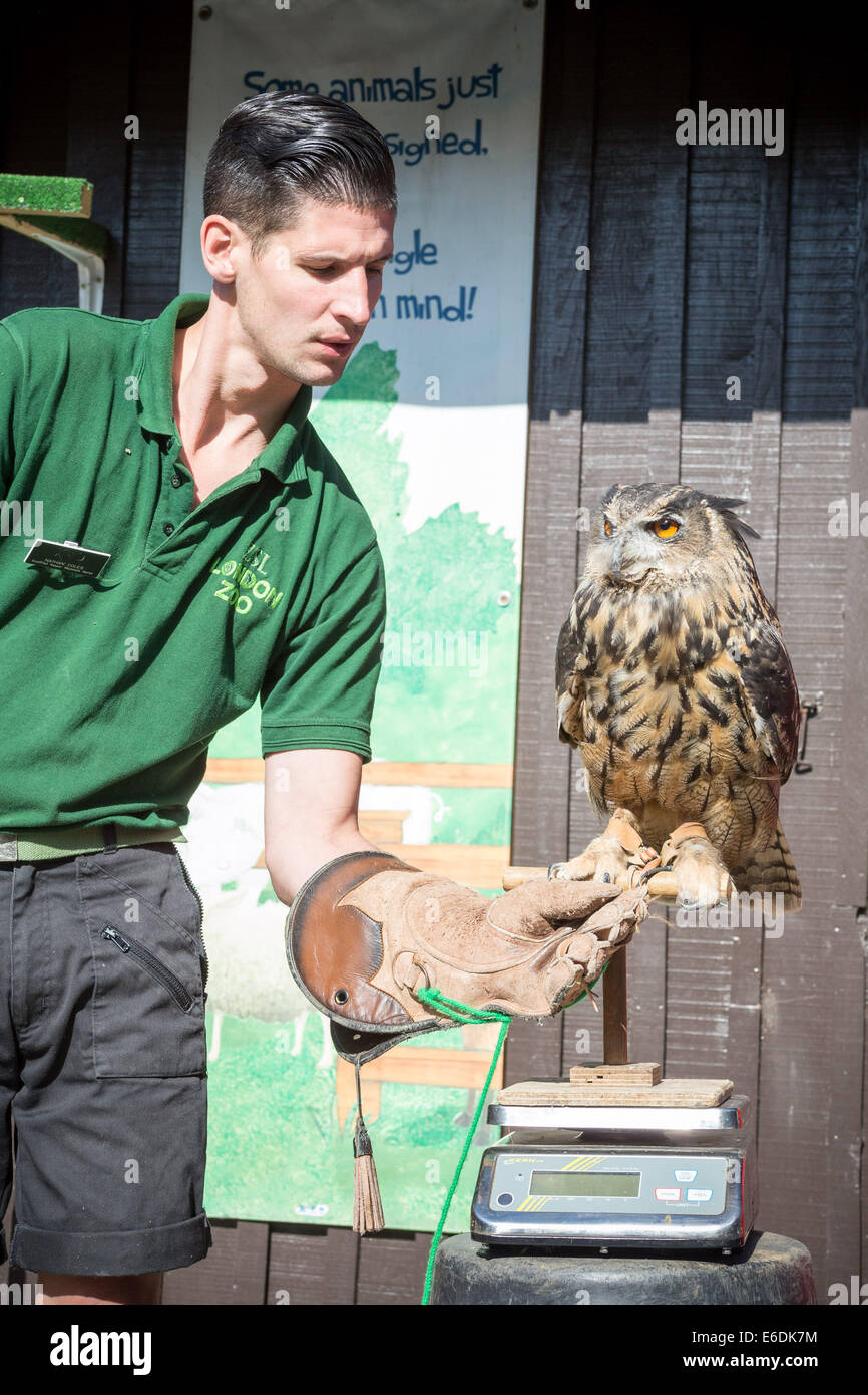 London zoo animals hi-res stock photography and images - Alamy