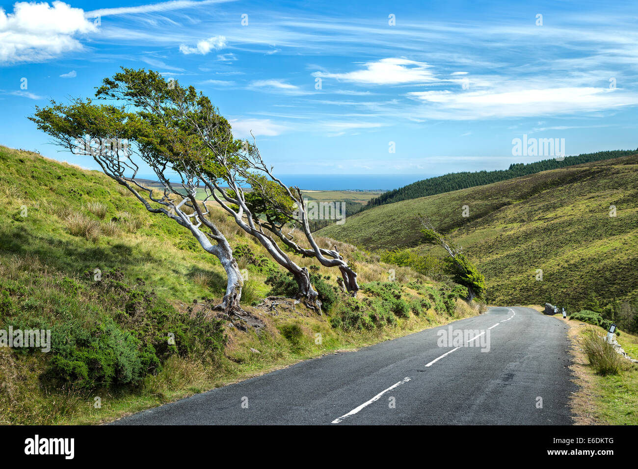 Empty road mountains trees hi-res stock photography and images - Alamy