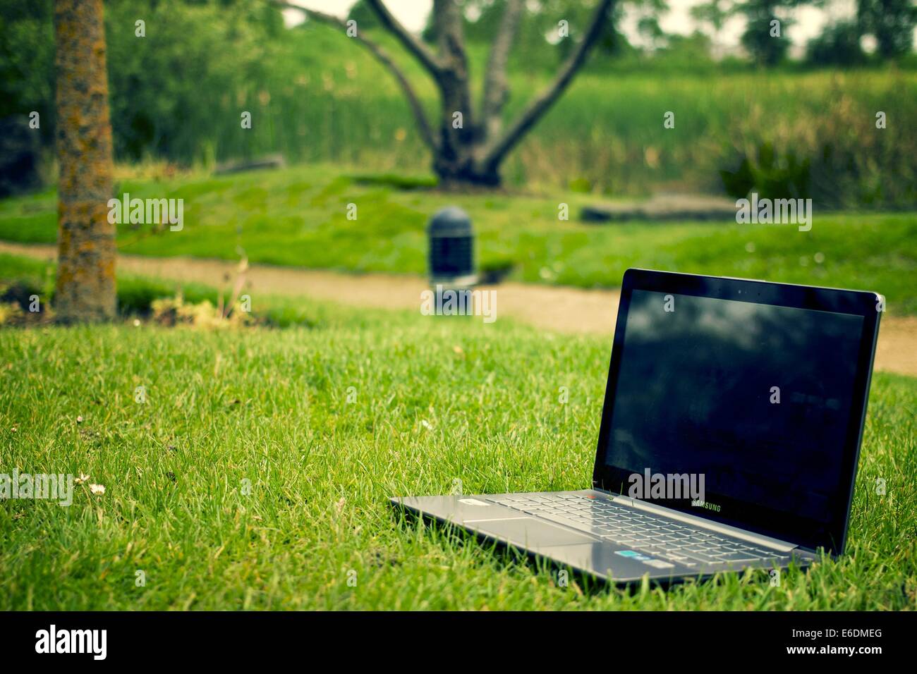 A laptop and notebook are set up outdoors in a park, surrounded by a ...