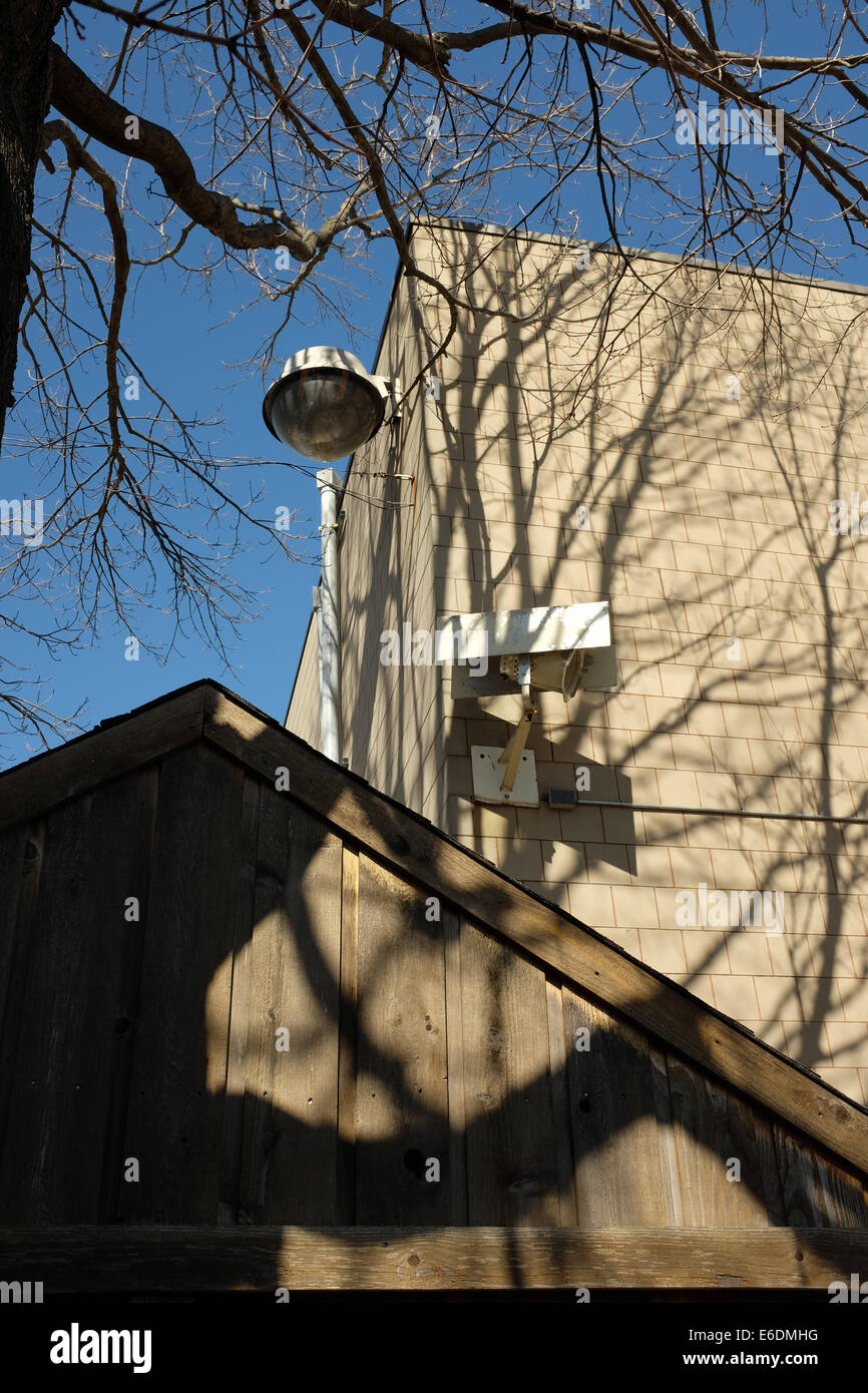 tree shadows on two buildings Stock Photo - Alamy
