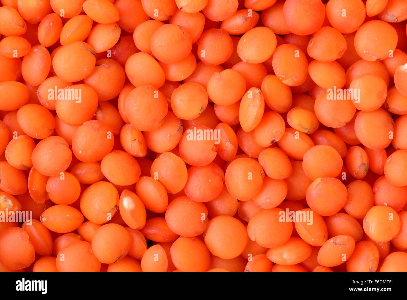 Red lentil grains close up Stock Photo - Alamy