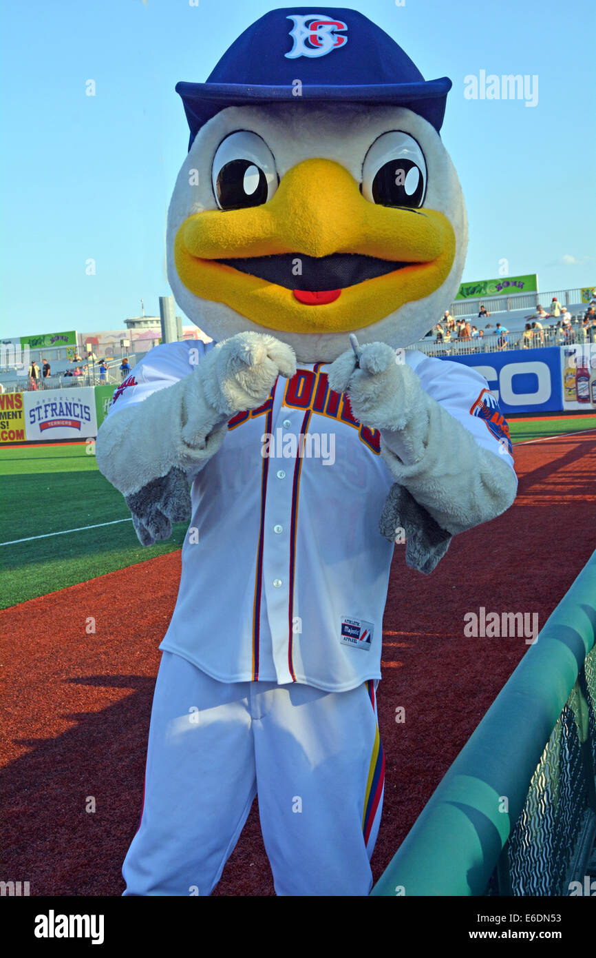 Sandy the seagull, the Brooklyn Cyclones mascot named for Sandy Koufax ...