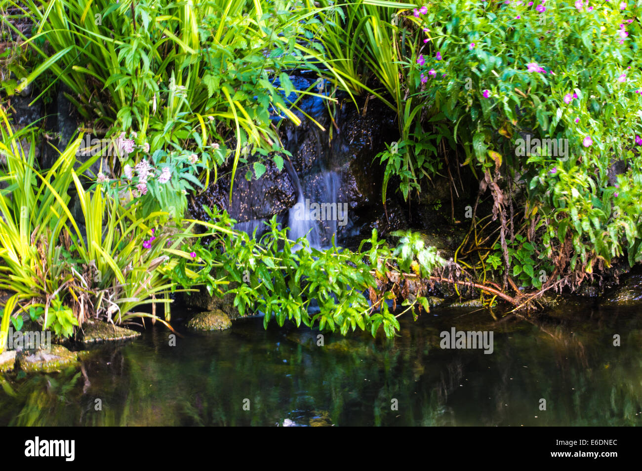 Small waterfall running into lake in the Norfolk nature park Stock ...