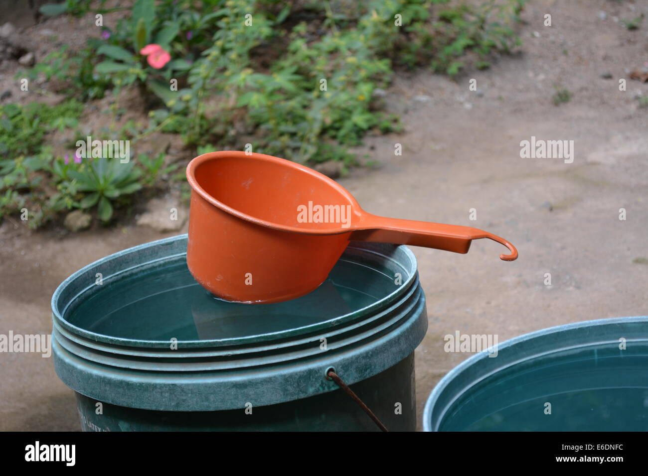 Soil container water hi-res stock photography and images - Alamy
