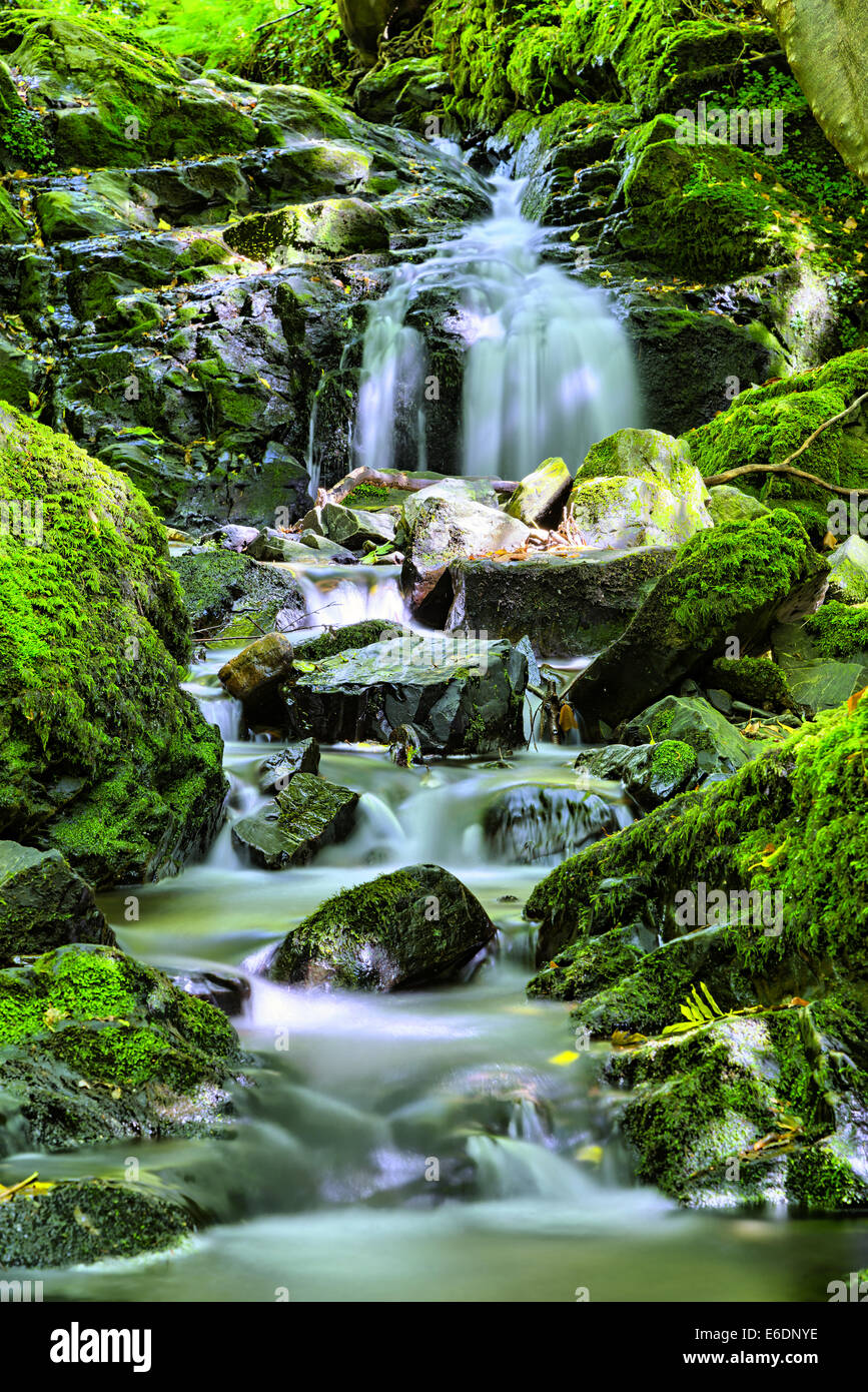 little waterfall in the woods Stock Photo - Alamy