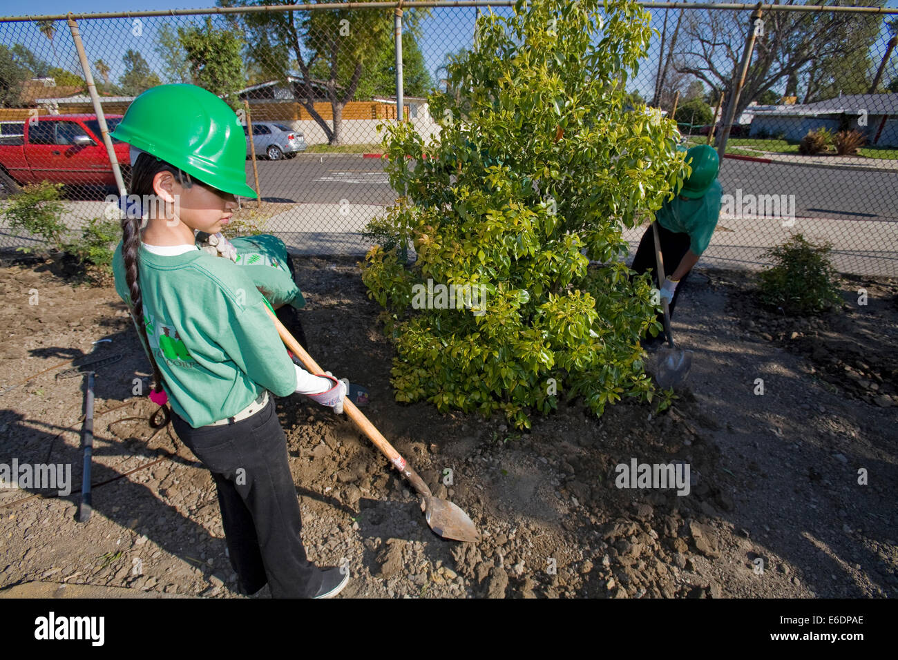 School children planting tree hi-res stock photography and images - Alamy