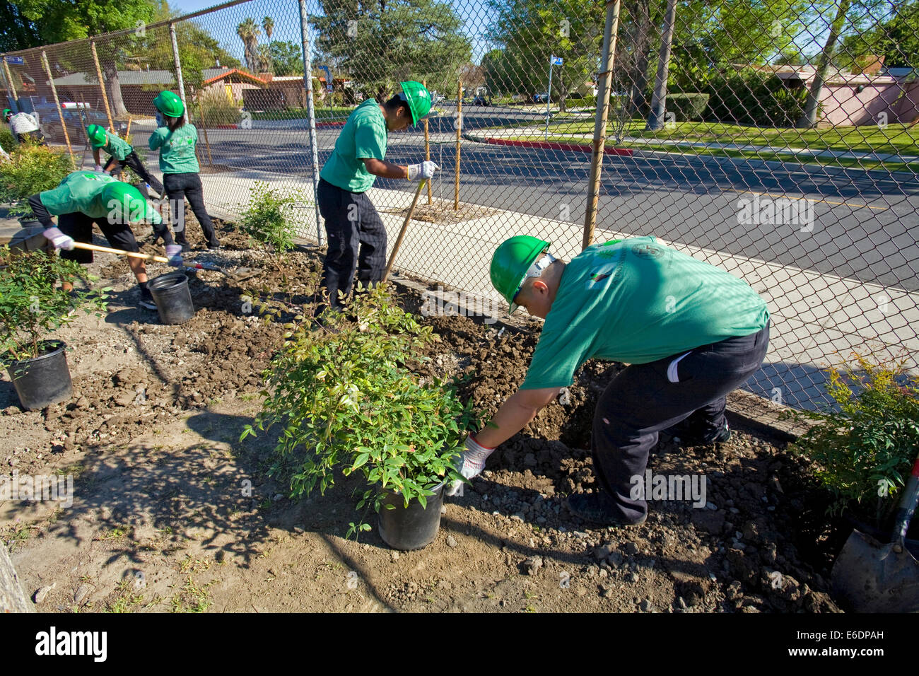 Student Planting Tree High Resolution Stock Photography and Images - Alamy