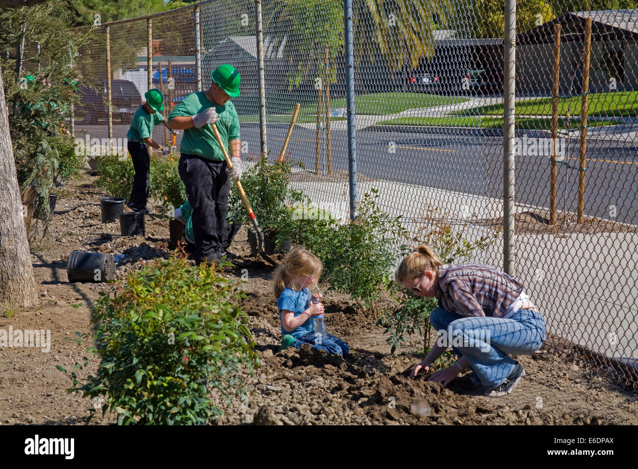 Student tree planting hi-res stock photography and images - Alamy