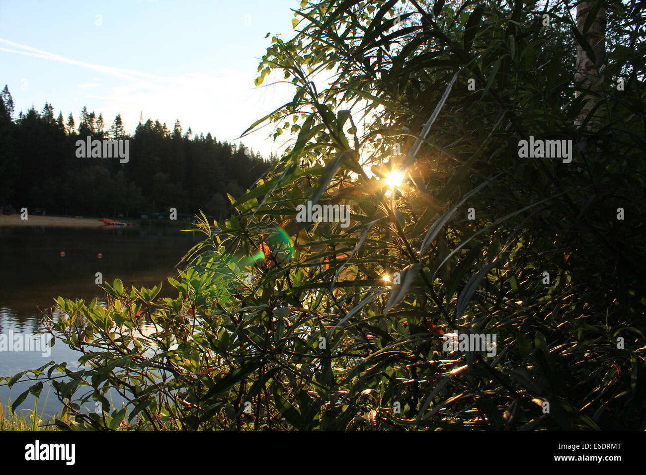 Center parcs longleat hi-res stock photography and images - Alamy