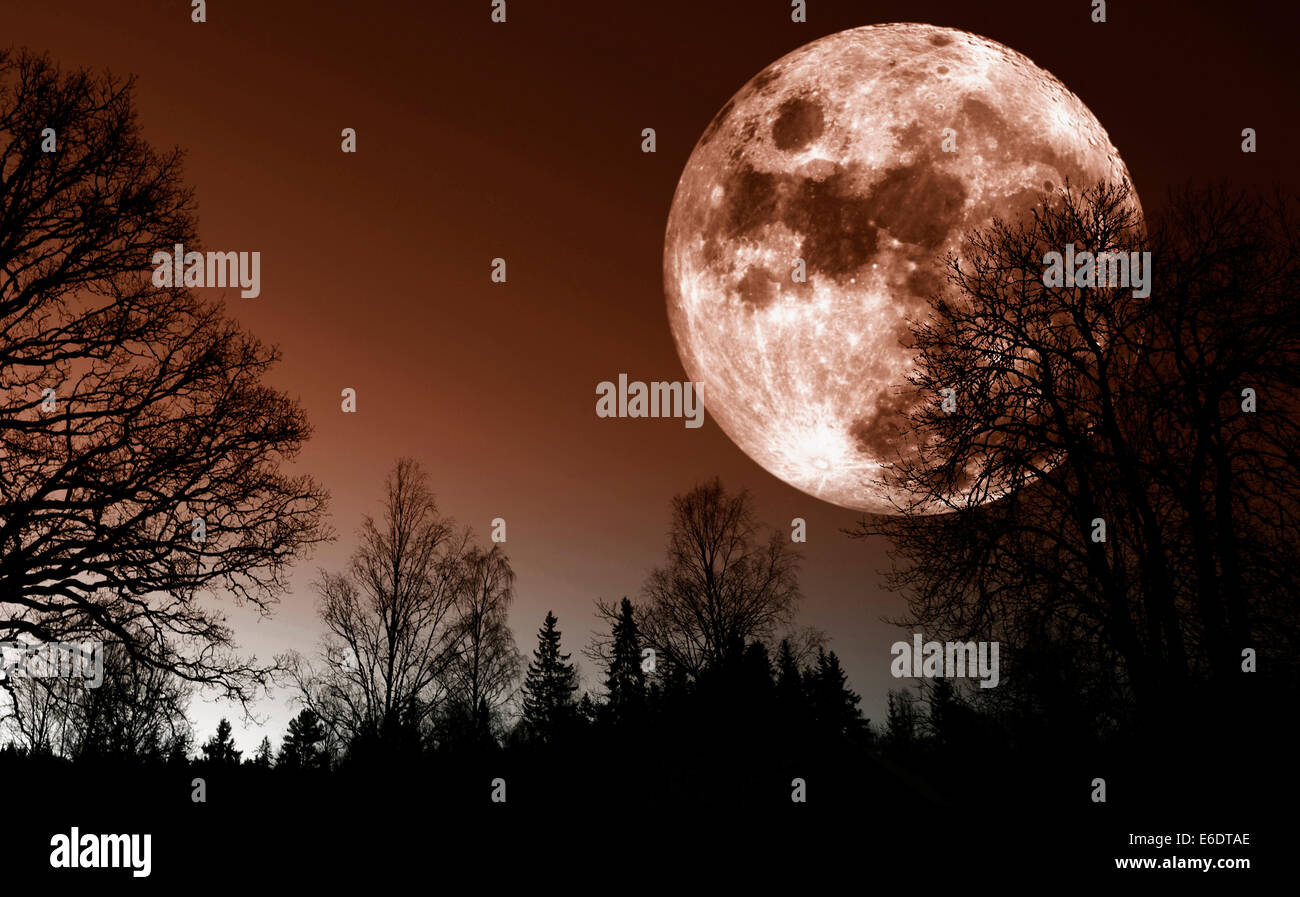 moon rise over dark forest Stock Photo - Alamy