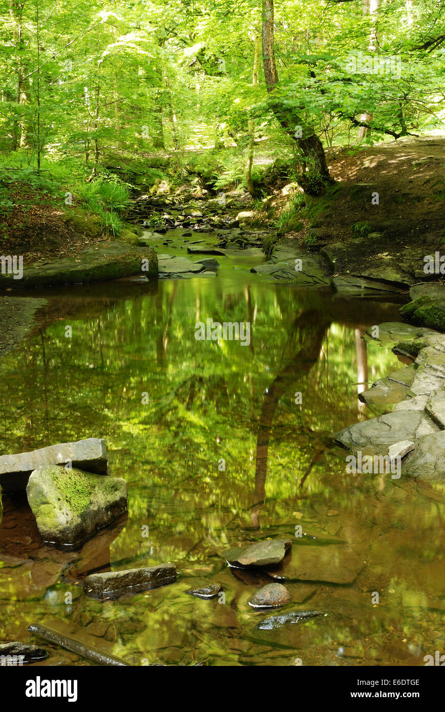 Reflection in the Stream Stock Photo - Alamy