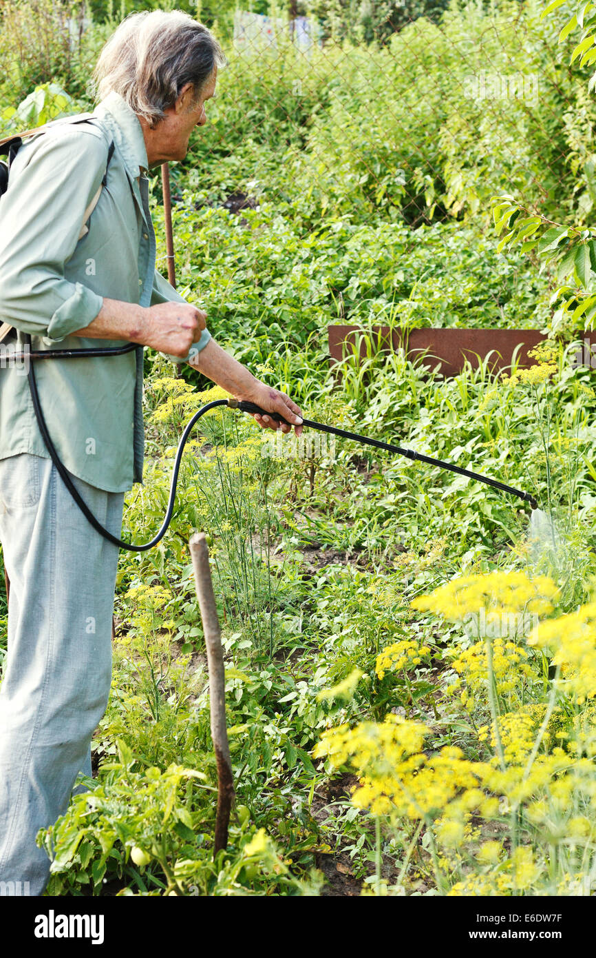 man spraying of insecticide on country garden in summer Stock Photo - Alamy