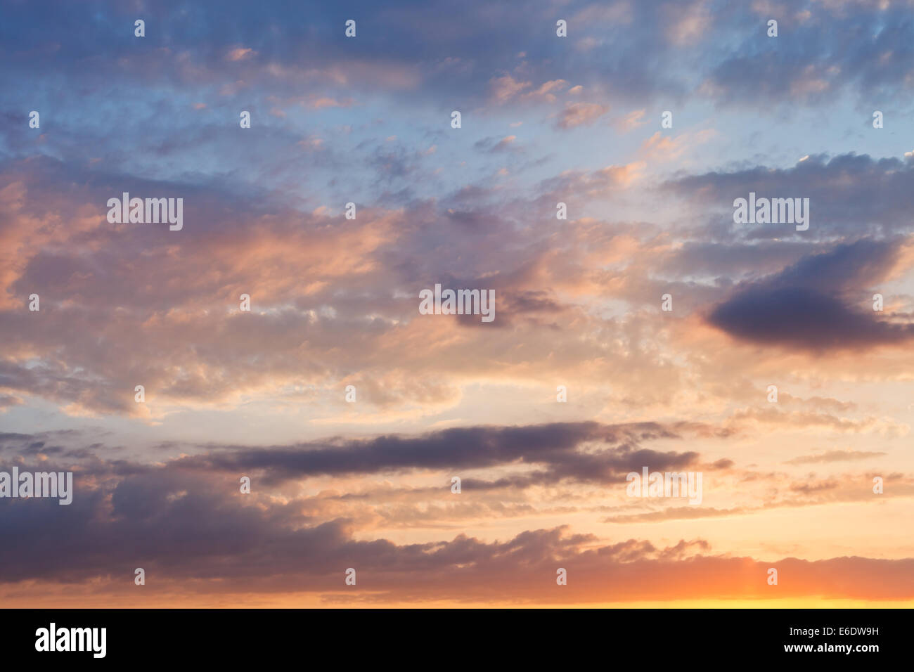 pink clouds in blue sky at summer sunset Stock Photo - Alamy