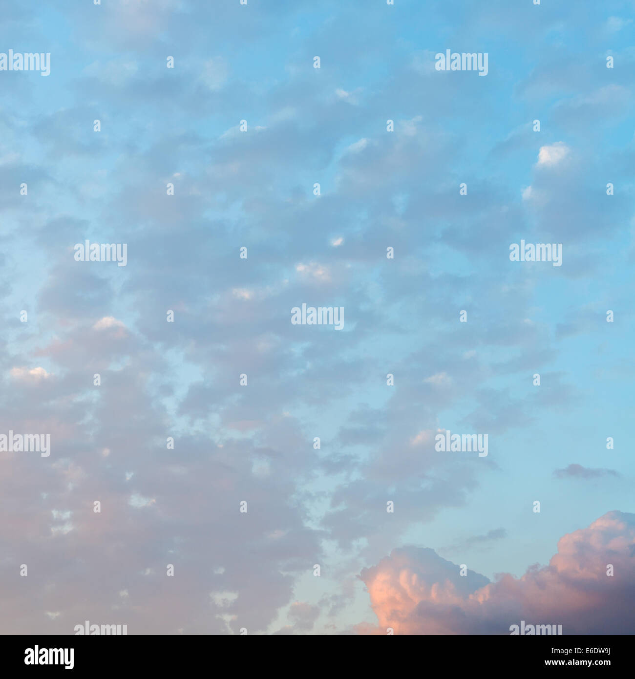 many little pink clouds in blue sunset sky in summer Stock Photo - Alamy