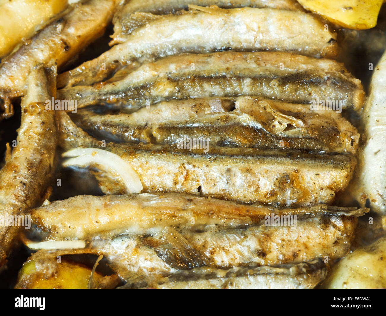 Capelin fish hi-res stock photography and images - Alamy