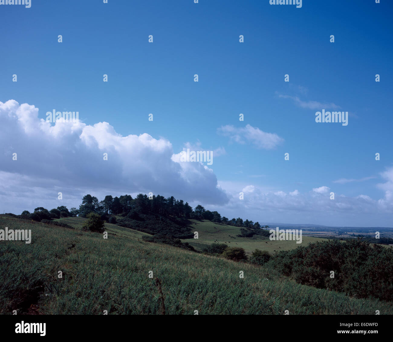 The ridge of Pentridge Hill looking toward Penbury Knott Hill Fort The ...