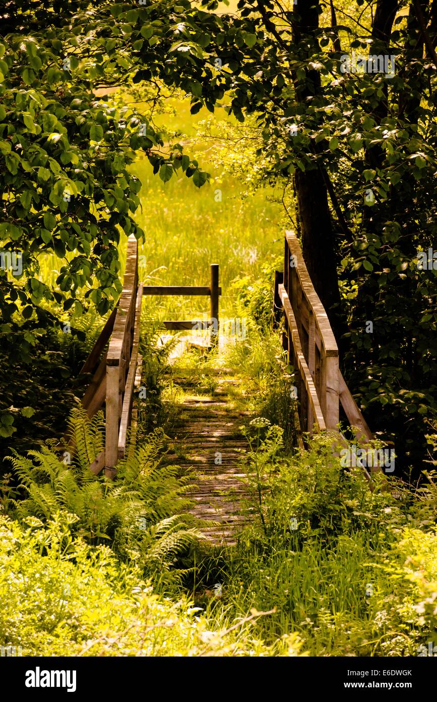 Magic bridge hi-res stock photography and images - Alamy