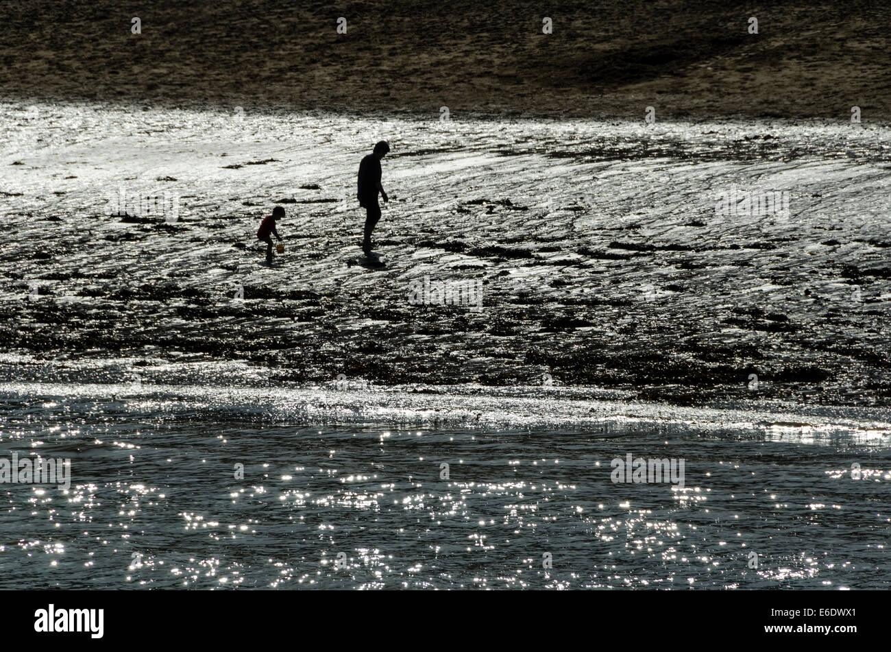 Silhouettes on the beach Stock Photo - Alamy