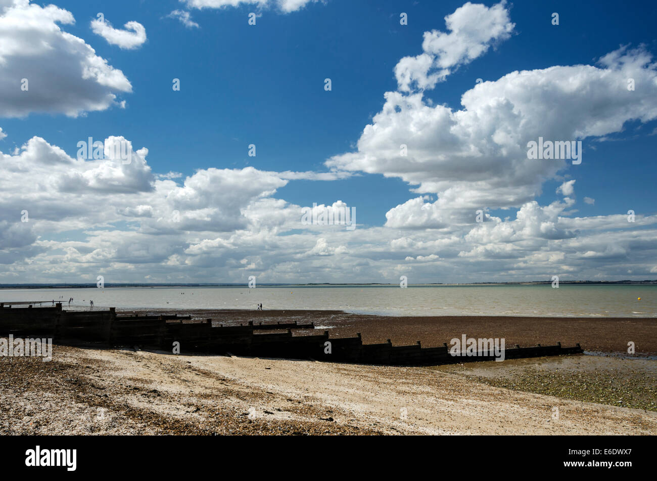 Whitstable shingle beach groynes hi-res stock photography and images ...
