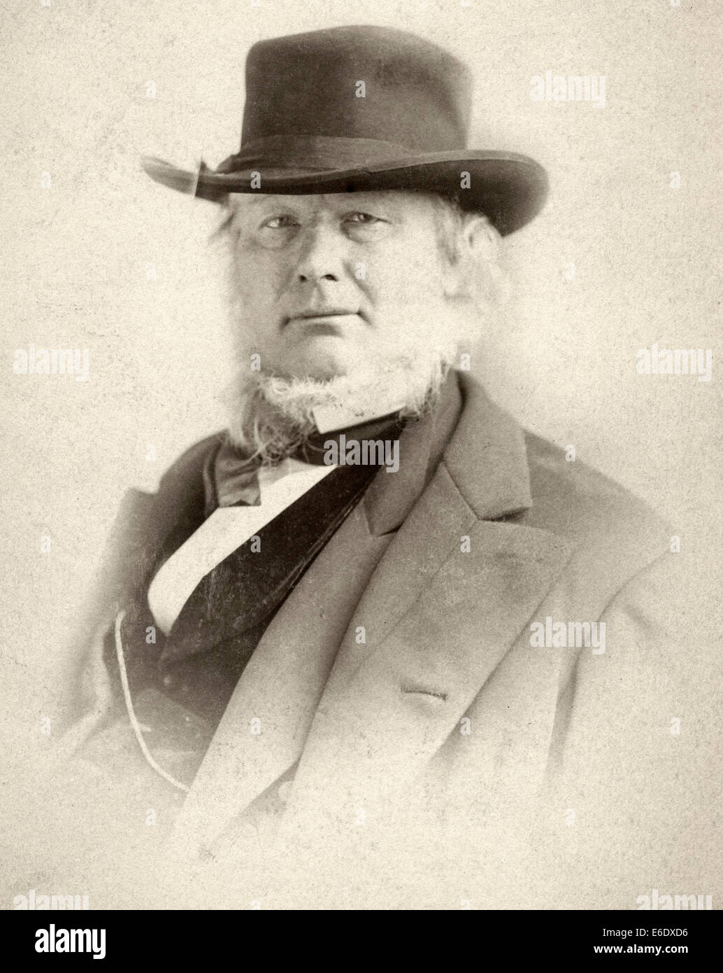 Horace Greeley (1811-1872), American Editor and Politician, Portrait ...