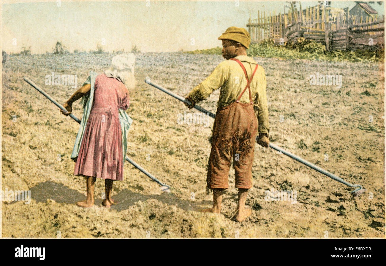Two Young African-American Children Hoeing Cotton Field, USA, Postcard ...