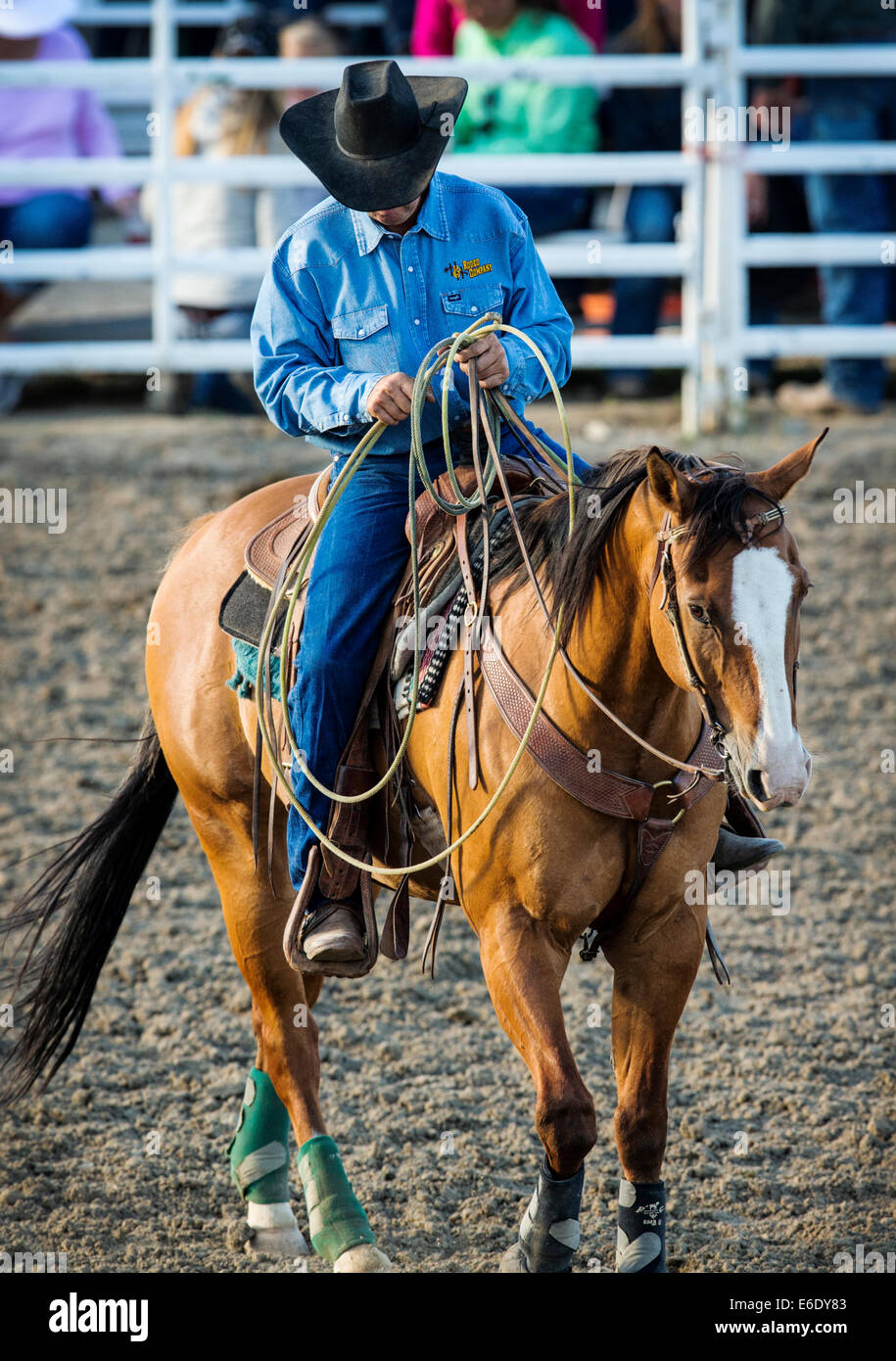 Cowboy on bucking horse hi-res stock photography and images - Alamy