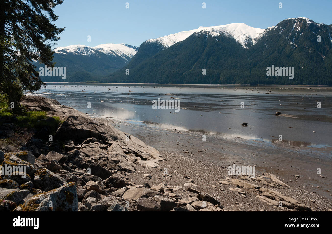 Elk203-4221 Canada, British Columbia, Skeena River landscape Stock ...
