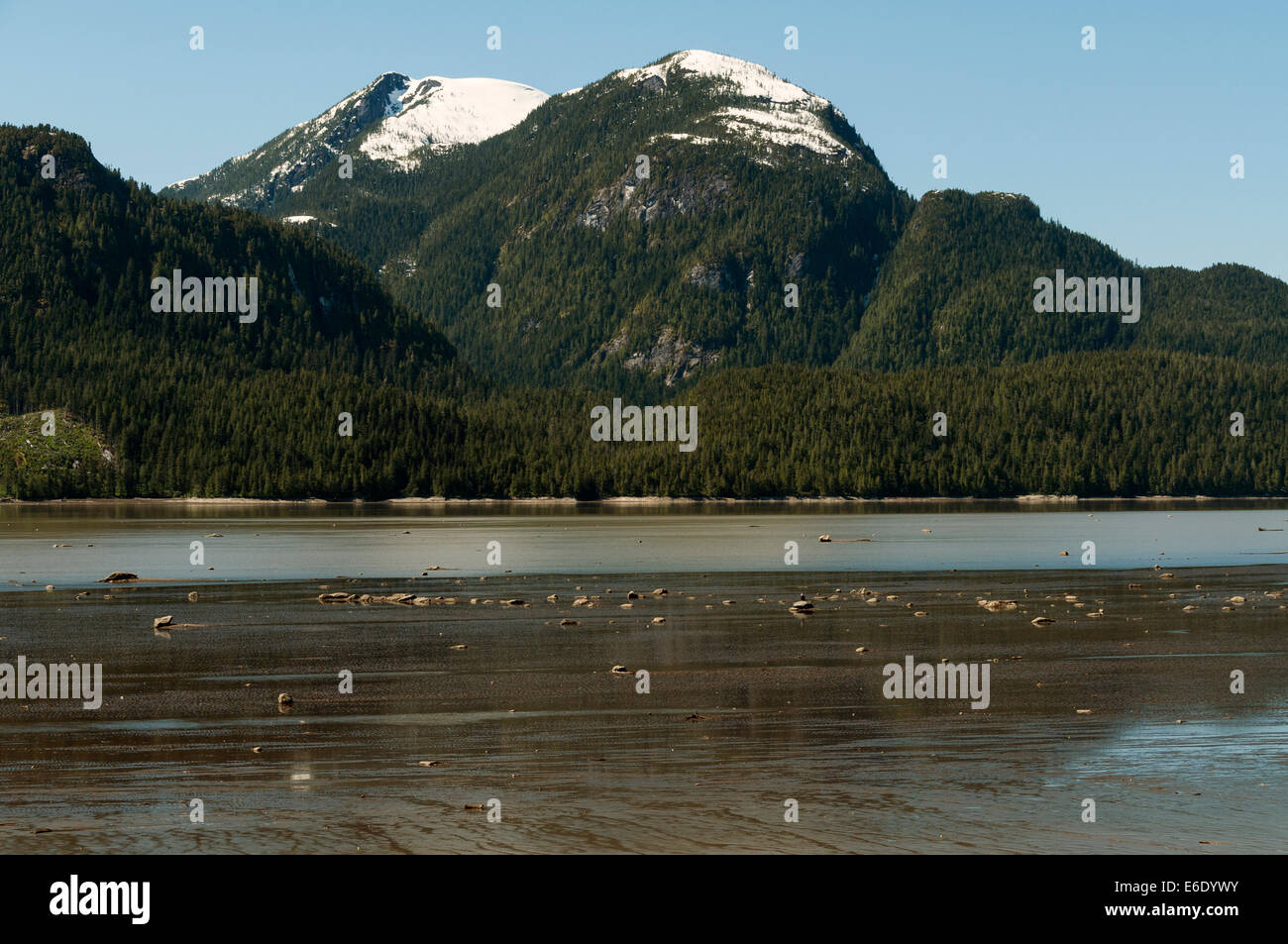 Elk203-4224 Canada, British Columbia, Skeena River landscape Stock ...