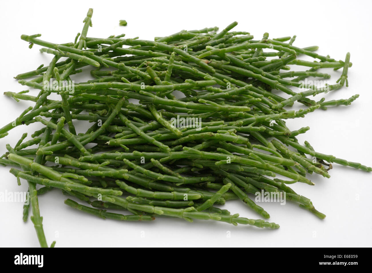 Samphire, edible saltmarsh plant on paper background Stock Photo - Alamy