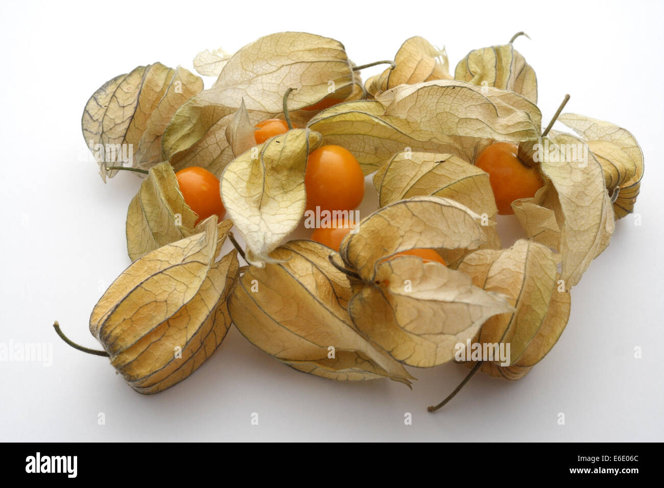 Physalis fruit on paper background Stock Photo - Alamy