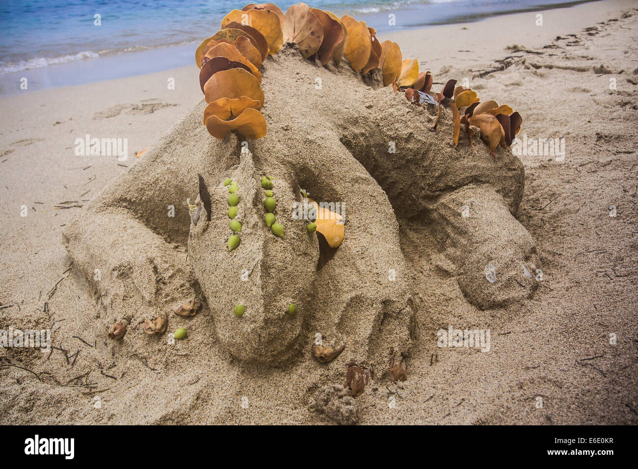 A lizard sculpted out of sand with various details made from beach ...