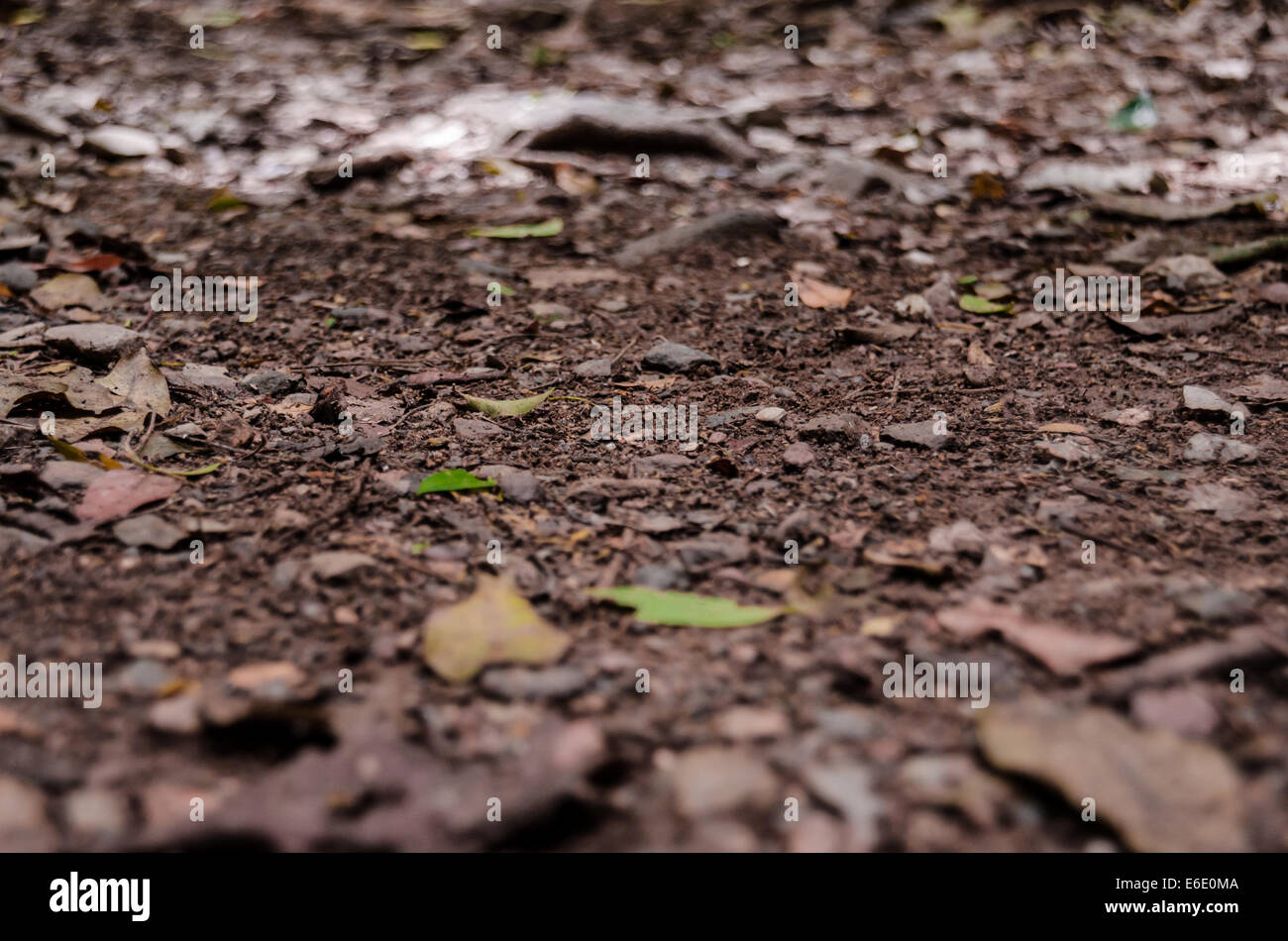 Soft trail hi-res stock photography and images - Alamy