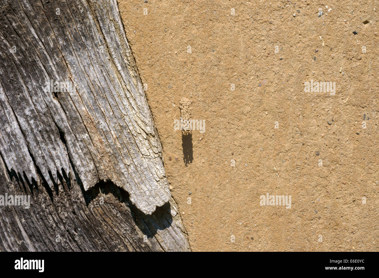 Living ecologically hi-res stock photography and images - Alamy