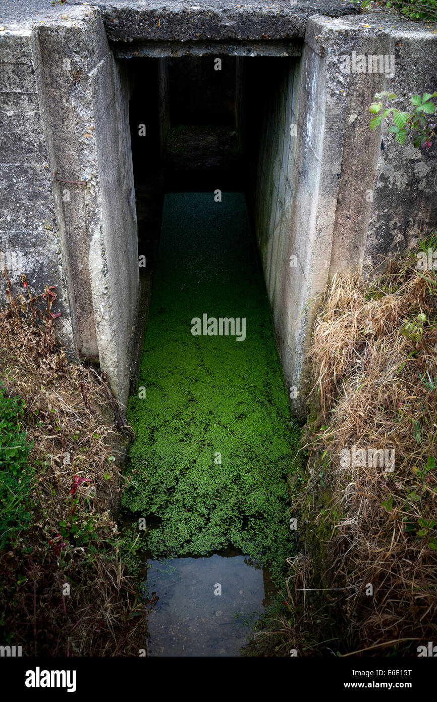 German World War Two gun battery at Maisy in Normandy Stock Photo - Alamy