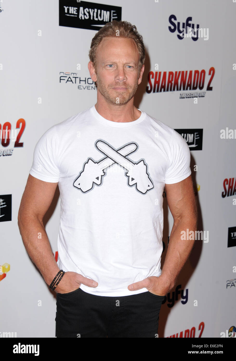 Los Angeles, California, USA. 21st Aug, 2014. Ian Ziering attending the ...