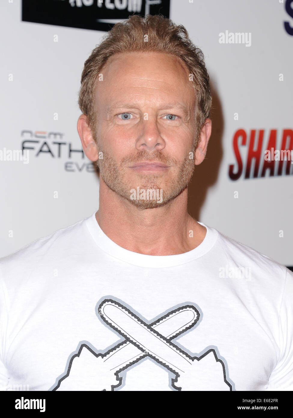 Los Angeles, California, USA. 21st Aug, 2014. Ian Ziering attending the ...