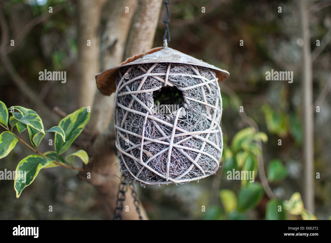 Aviary in the forest Stock Photo - Alamy