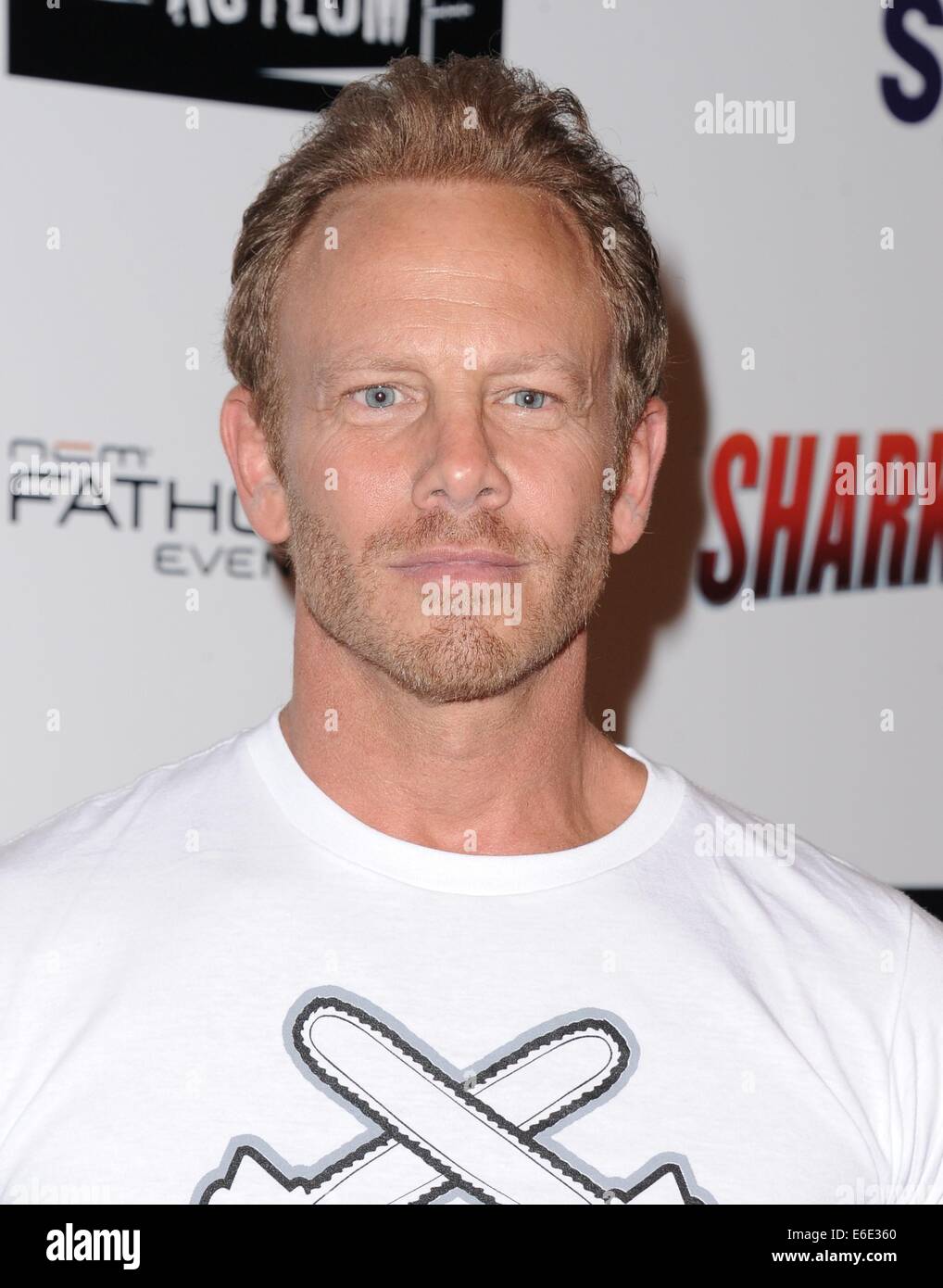 Los Angeles, CA, USA. 21st Aug, 2014. Ian Ziering at arrivals for ...