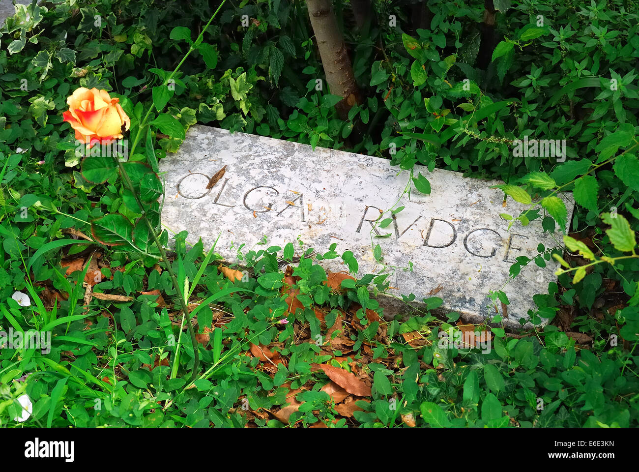 Olga rudge hi-res stock photography and images - Alamy