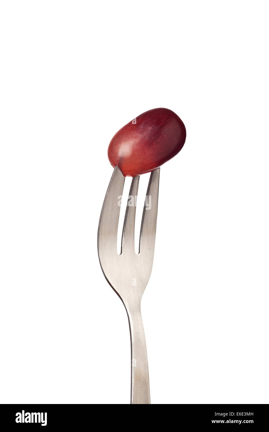 Single grape held by a fork isolated on white background Stock Photo ...