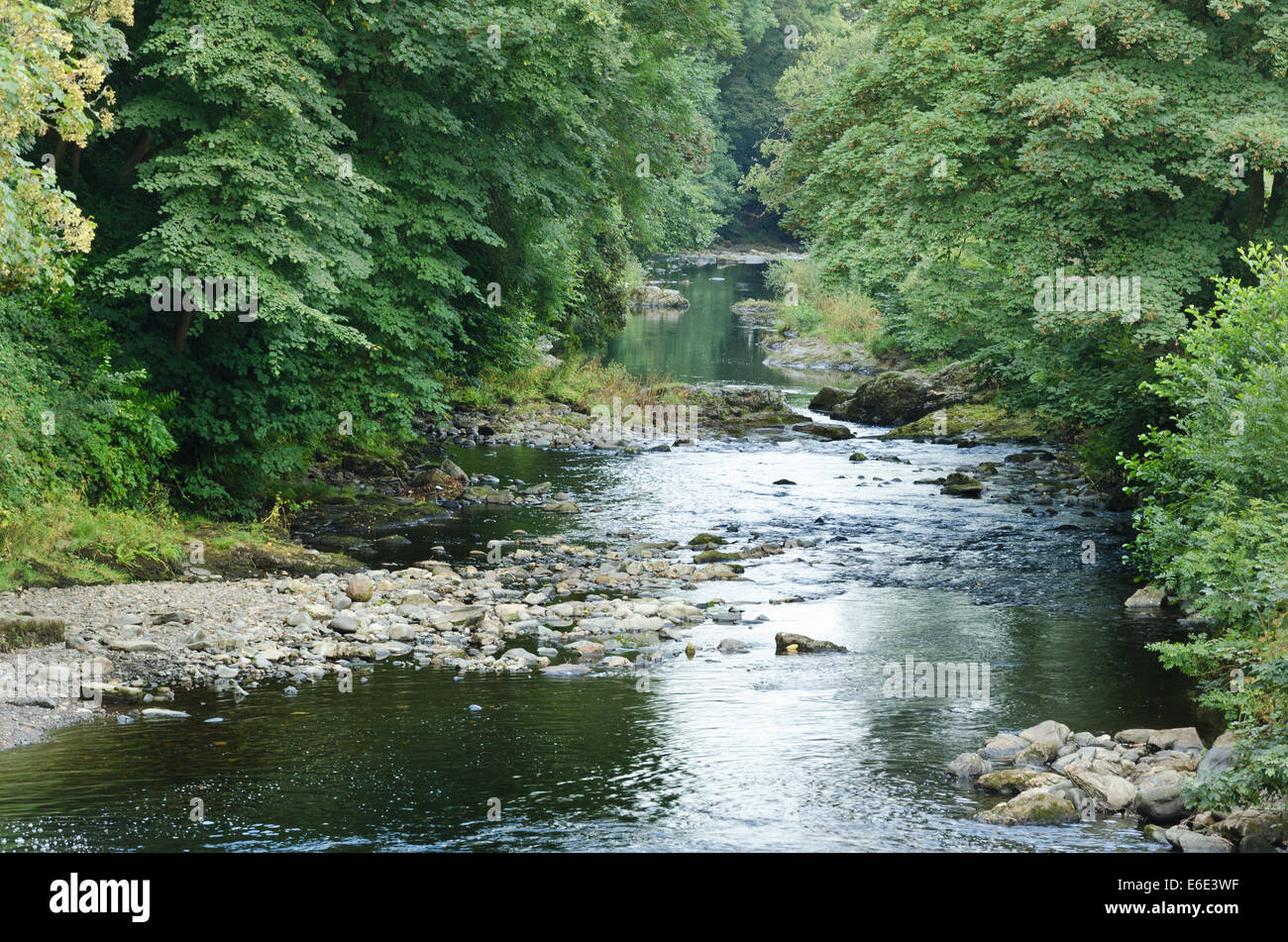 view looking down river Tavy mid summer with calm stretches and pools ...